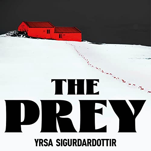 The Prey (Audio Download): Yrsa Sigurdardottir, Adam Price, Eva Feiler ...