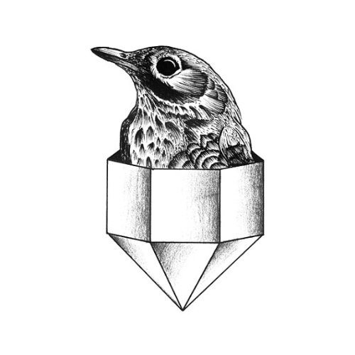 Thrush Bird Tattoo