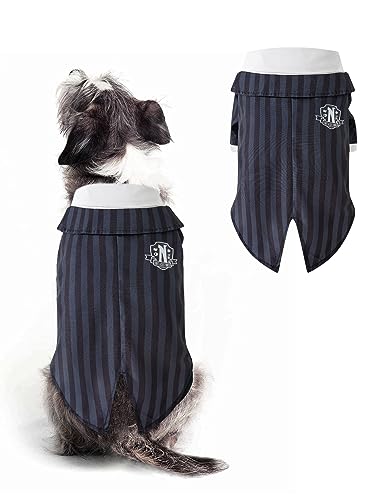 Top 10 Halloween Dog Costumes for 2023