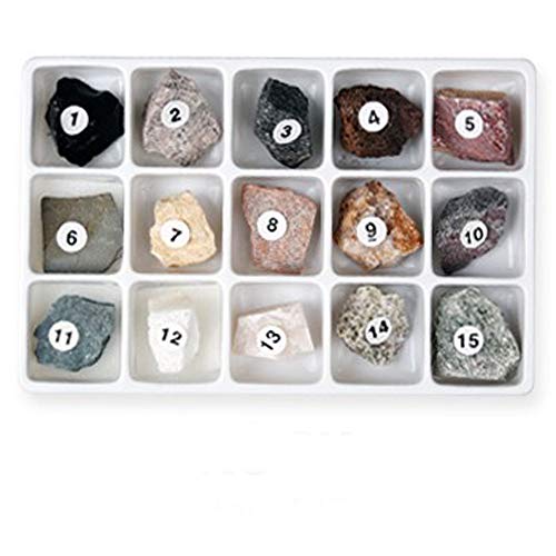 Buy Set of 15 Science Rocks & Minerals Specimen Kit Sedimentary ...