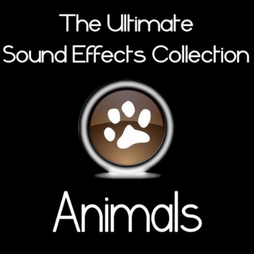 Amazon.com: Ultimate Sound Effects Collection - Animals : Pro Sound ...