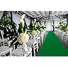 Amazon.com: EZLucky Green Carpet Runner for Party, 2.6X15ft, 130GSM ...