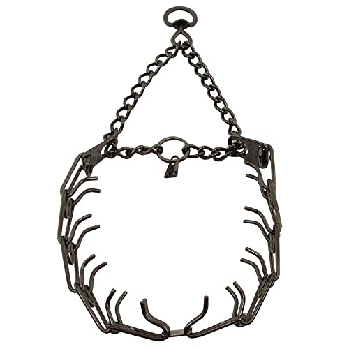 The 13 Best Prong Collars For Dogs In 2023 – Top Picks & Reviews ...