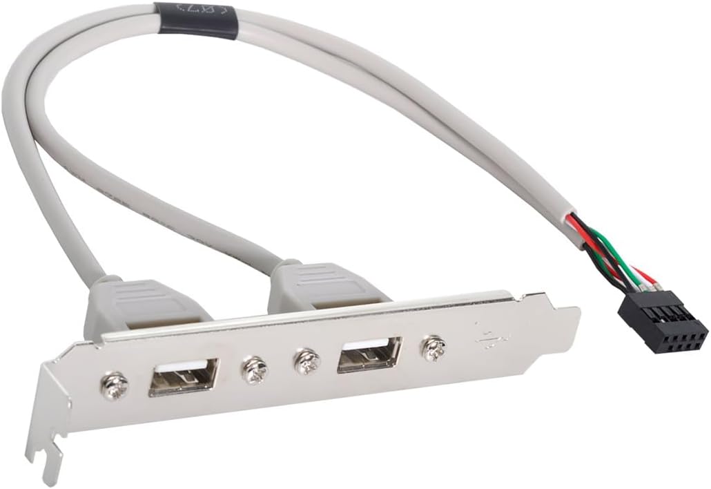 CY Dual USB 2.0 Type A Female to Motherboard 9 Pin 10 Pin USB Header ...