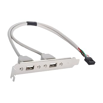 CY Cable Dual USB 2.0 A Type Female to Motherboard 9Pin 10Pin USB ...