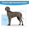 Amazon.com: Dog Breeding Stand, Stainless Steel Breeding Stand for Dogs ...