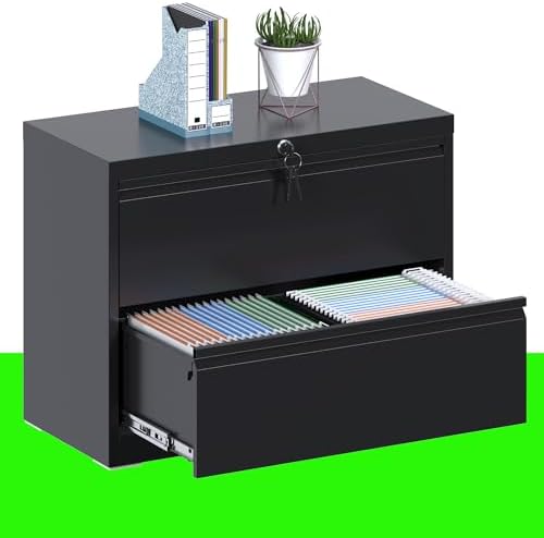 Amazon.com: VIYET 2 Drawer Lateral File Cabinet with Lock, Filing ...