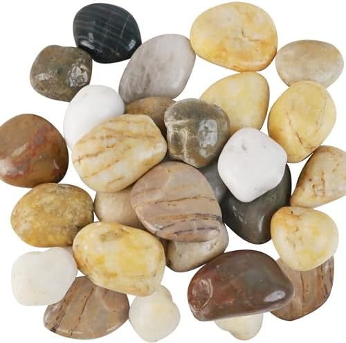 Amazon.com: FANTIAN 5 lbs Natural Aquarium Rocks Mexican Beach Pebbles ...