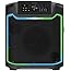 Amazon.com: ION Pathfinder 280 All-Weather Speaker with Premium Wide ...