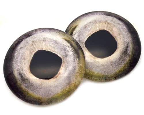 Amazon.com: Chinook Salmon Fish Glass Eyes Realistic 6mm to 78mm Size ...