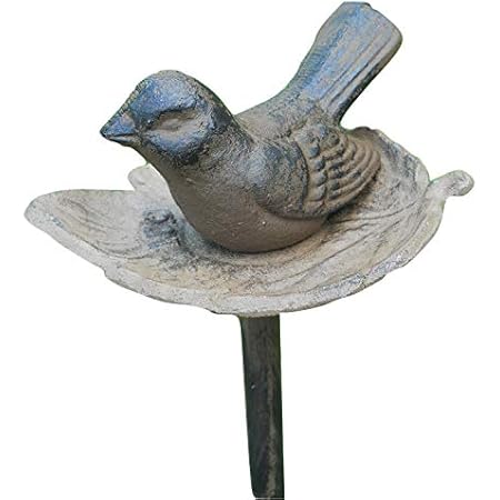 Amazon.com : Carver's Olde Iron Butterfly in Leaf Aluminum Garden Hose ...