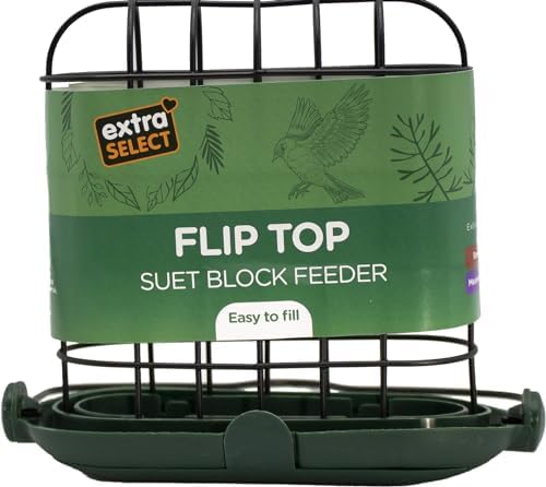 Extra Select Suet Block Feeder - Hanging Wild Bird Feeders, Suet Block ...