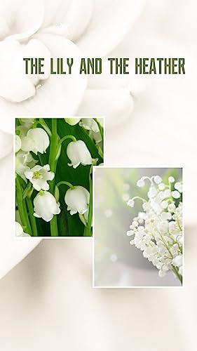 The Lily and the Heather eBook : Watts Terri, Watts Terri: Amazon.in ...