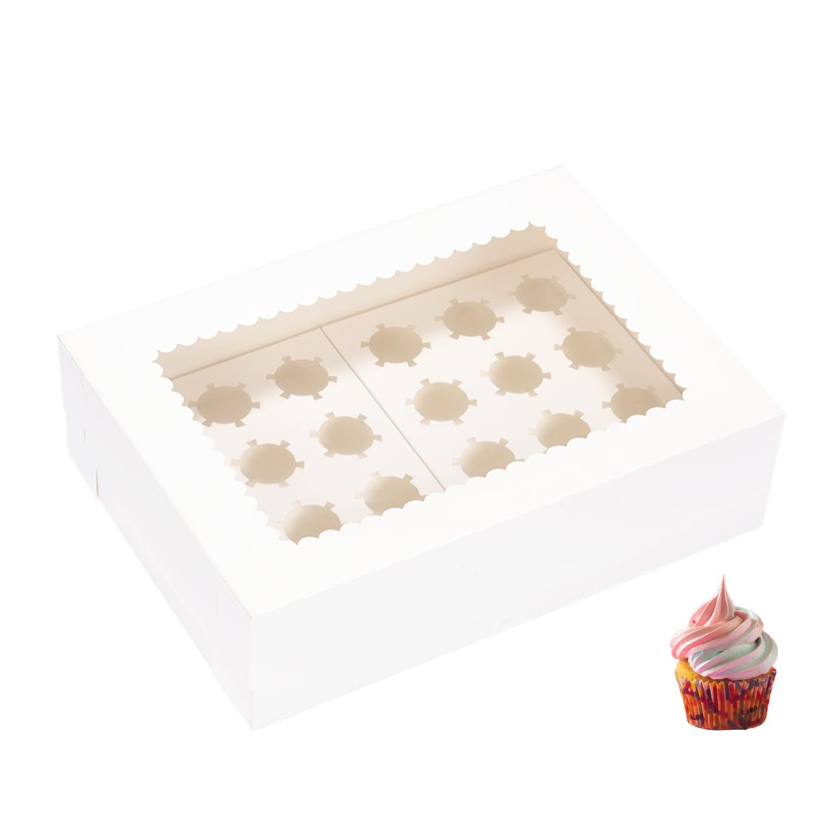 Amazon.com: JJO Mini Cupcake Box 5 Pack,Holds 24 Mini Cupcakes,Cupcake ...