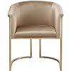Amazon.com - Meridian Furniture 758Beige-C Tierra Collection Modern ...