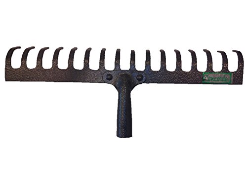 Concorde Garden Rake -16 Teeth, Garden Tool : Amazon.in: Garden & Outdoors