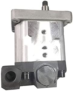 Amazon.com: Bomba hidráulica 318.33 CC 5180277 para el tractor de CASE ...