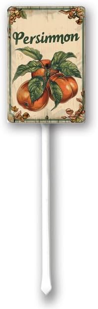 Amazon.com : Uptell Vintage Fruit Persimmon Yard Sign With Stake 12.8 ...