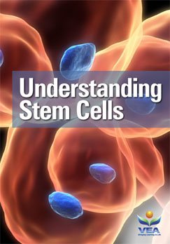 Amazon.com: Understanding Stem Cells Video on DVD : Movies & TV