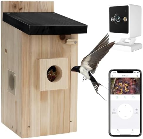 Amazon.com: ACCULENZ Smart Bird House with WiFi Camera, 1080p HD Bird ...