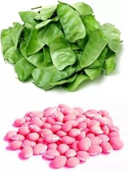 MSA Avarakkai Vegetable Seed with vermicompost Potting Soil (1Pack ...