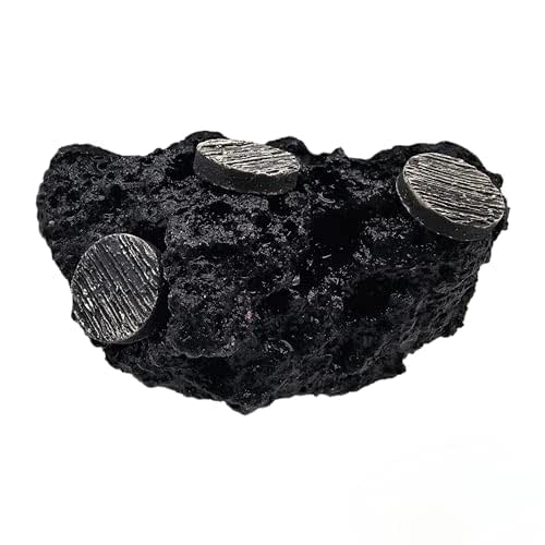 Amazon.com: 3 Plug Magnetic Rock Rack for Corals - USA Reef Aquatics ...