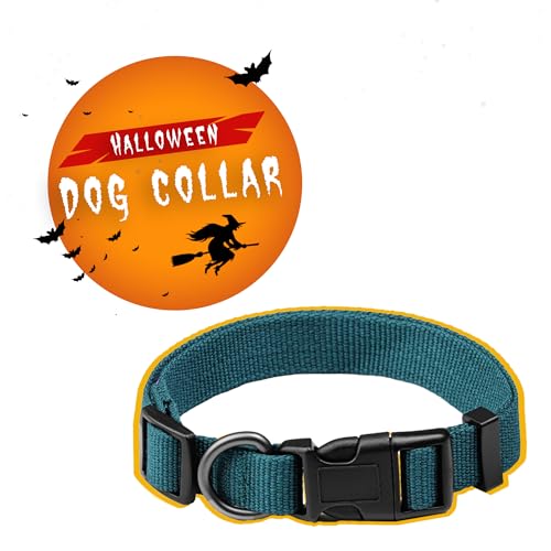 Top 10 Best Collar For Blue Heeler : Reviews & Buying Guide - Katynel