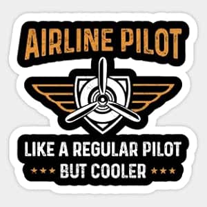 Amazon.com: Stickers Viny Aviation Pilot Design for A Pilot, Vinyl ...