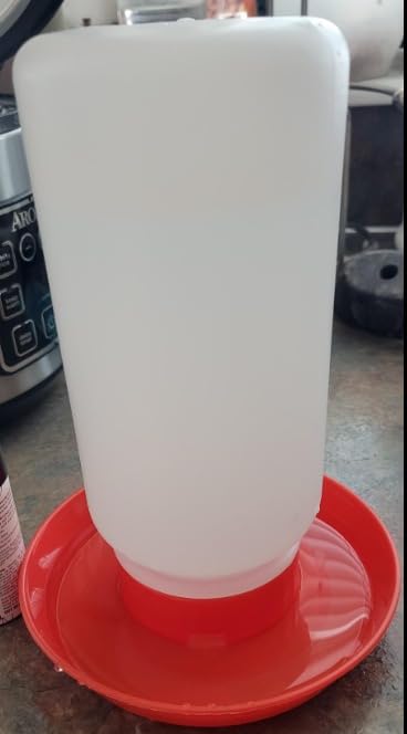 Amazon.com: Little Family Members Plastic 1-Quart Baby Chick Waterer ...