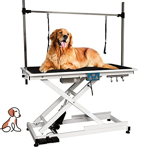 The Best Dogs For Seniors – Forbes Health