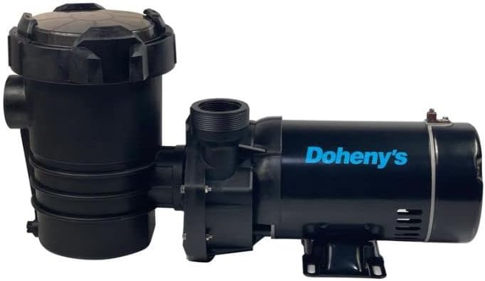 Amazon.com: Rx Clear Mighty Niagara 1.5 HP Dual Speed I/G Pool Pump for ...