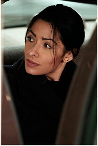 Person of Interest Sarah Shahi as Sameen Shaw Seated in Car 8 x 10 inch ...