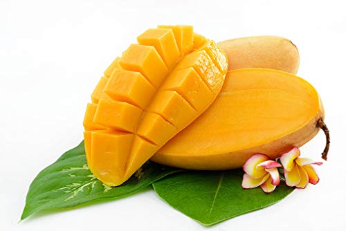Amazon.com: Freska, Mango, 1 Count : Grocery & Gourmet Food