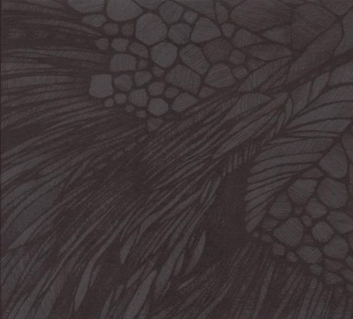 Amazon.com: Overflow: CDs & Vinyl