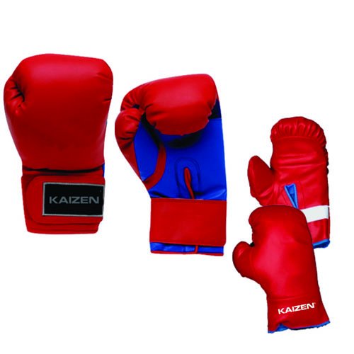 Kaizen Father and Son Boxing Set, Pack of 2 : Amazon.in: Sports ...