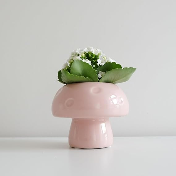 Amazon.com : KUHA Mushroom Planter for Indoor and Outdoor Plants ...