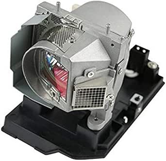 Amazon.com: WATOMAN 20-01501-20 Replacement Projector Lamp Assembly ...