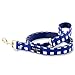 Amazon.com : Kate Spade New York 6ft Dog Leash, Heavy Duty Leash for ...
