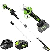 Amazon.com : V-MODEST 4-in-1 Pole Saw & Electric Pruning Shears, 8 Inch ...