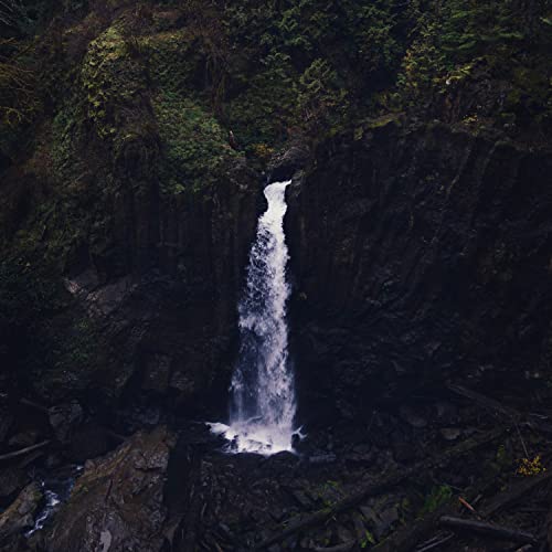 Amazon.co.jp: Sight : Borjon: デジタルミュージック