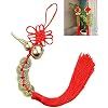 Amazon.com: New Feng Shui Good Luck Charms (Metal Gourd with 5 Coins ...