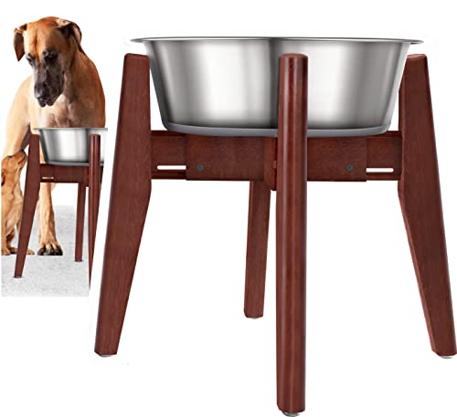 10 Best Dog Food Risers of the Year - A Complete Buying Guide - Furry Folly