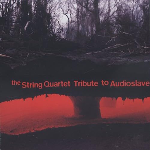 The String Quartet Tribute To Audioslave: Todd Mark Rubenstein, David ...