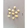 Genuine Elephant Garlic 09 Corms/Seeds- You Will get Same in 2nd ...