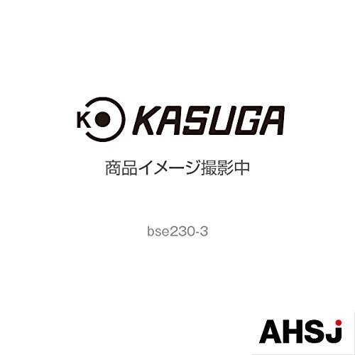 Amazon.co.jp: 春日電機 BSE230 3 NN- : 産業・研究開発用品