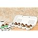 Bakelicious 73902 Cupcake Carton, Plastic, White : Amazon.ca: Home