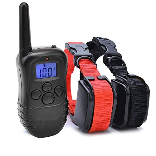 notice collier anti aboiement tera