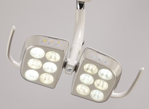 DEZ Everlight Light, 115V Unit Mount - Want It All