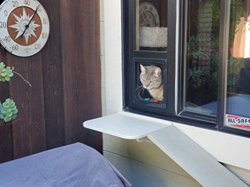 The 30 Best Cat Doors For Windows of 2024 [Verified] - Cherry Picks
