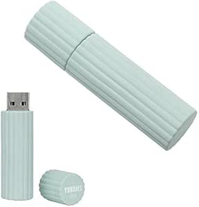 Amazon.com: USB Flash Drive 1GB : Electronics